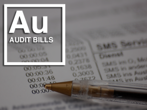 THOROUGH TELECOM COST AUDITS | Circuit Genius